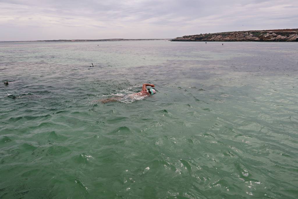 A Day Trip to Baird Bay - Swimming with Sea lions and Dolphins : Finchy ...