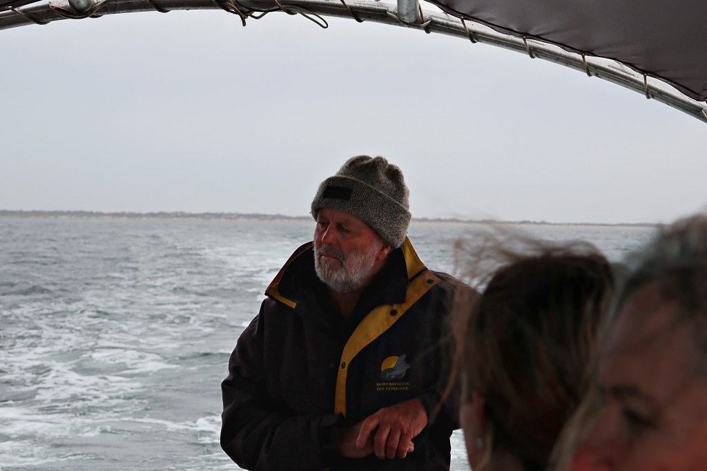 A Day Trip to Baird Bay - Swimming with Sea lions and Dolphins : Finchy ...