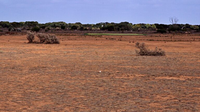 The World's Longest Golf Course - The Nullarbor Links : Finchy's Australia