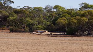 The World's Longest Golf Course - The Nullarbor Links : Finchy's Australia