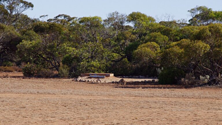 The World's Longest Golf Course - The Nullarbor Links : Finchy's Australia
