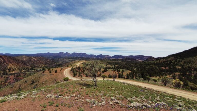 Flinders Ranges | Drought and Flooding Rains : Finchy's Australia